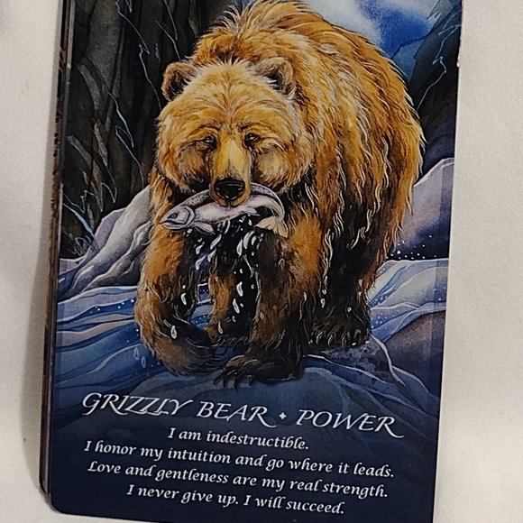 Games | Spirit Of The Animals Oracle Pocket Edition | Poshmark